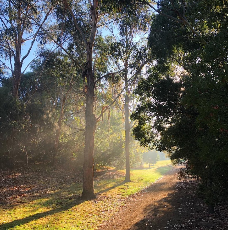 Winter comes to nipaluna « Dorkymum | Stories from Tasmania